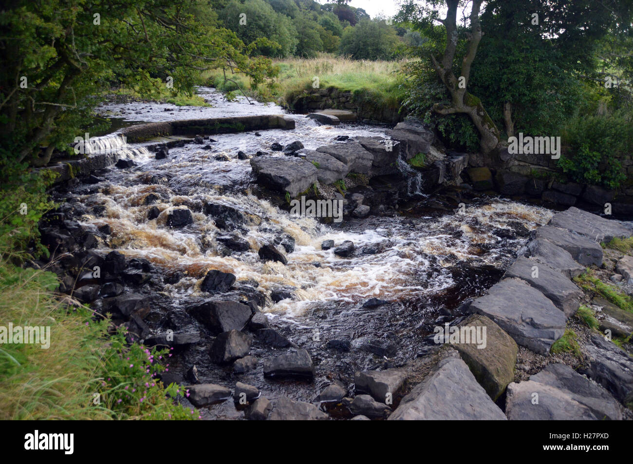 Ball Grove Fish Pass on Colne Water in Colne, Pendle, Lancashire ...