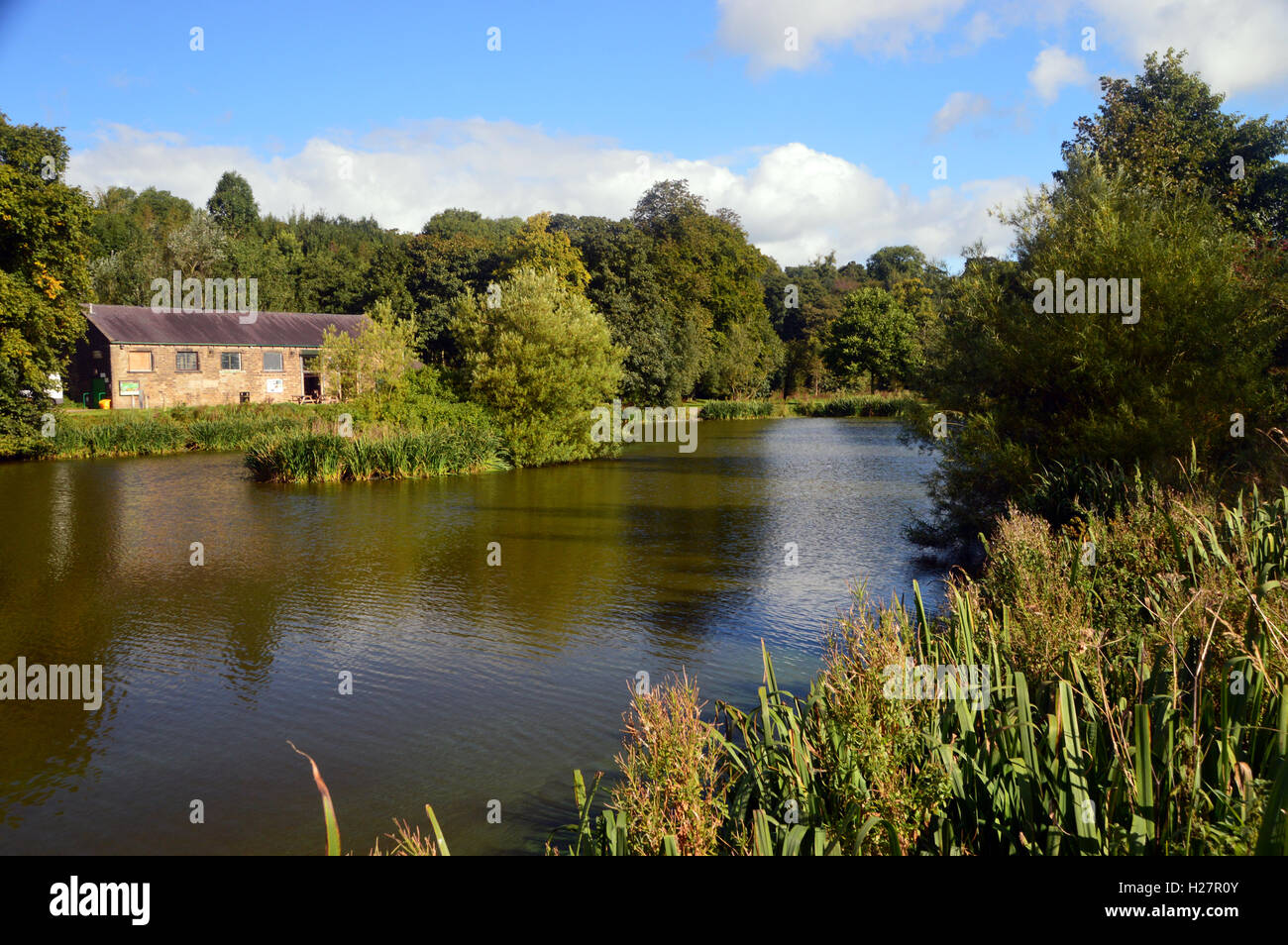Ball grove country park hi-res stock photography and images - Alamy