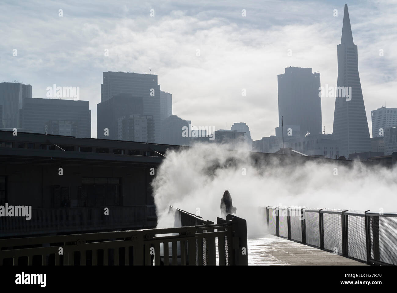 Visitor Crossing Fog Bridge at Exploratorium, San Francisco Stock Photo ...