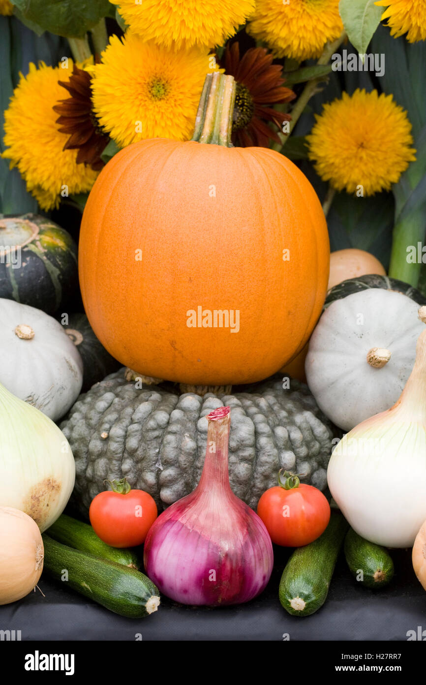 Courgette varieties hi-res stock photography and images - Alamy