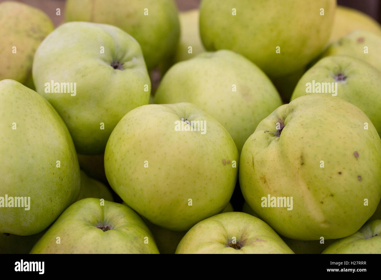 Ladies finger apple hi-res stock photography and images - Alamy