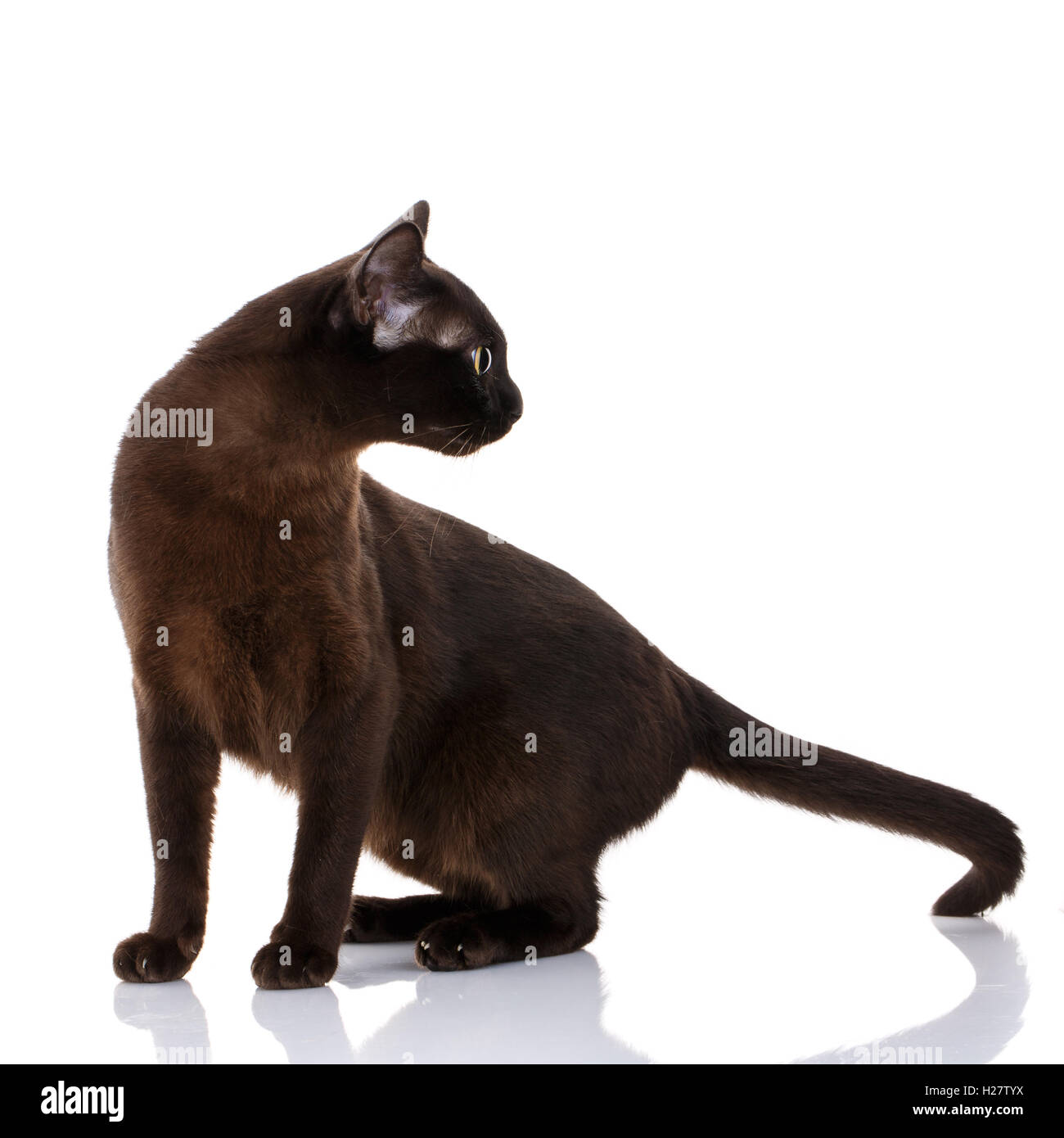 Turn his head hi-res stock photography and images - Alamy