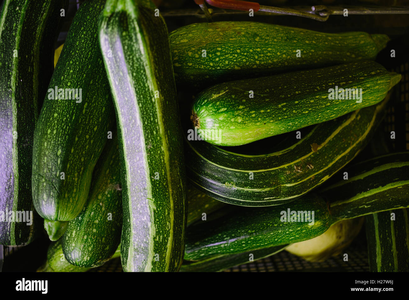 Organic raw fresh zucchini hi-res stock photography and images - Alamy