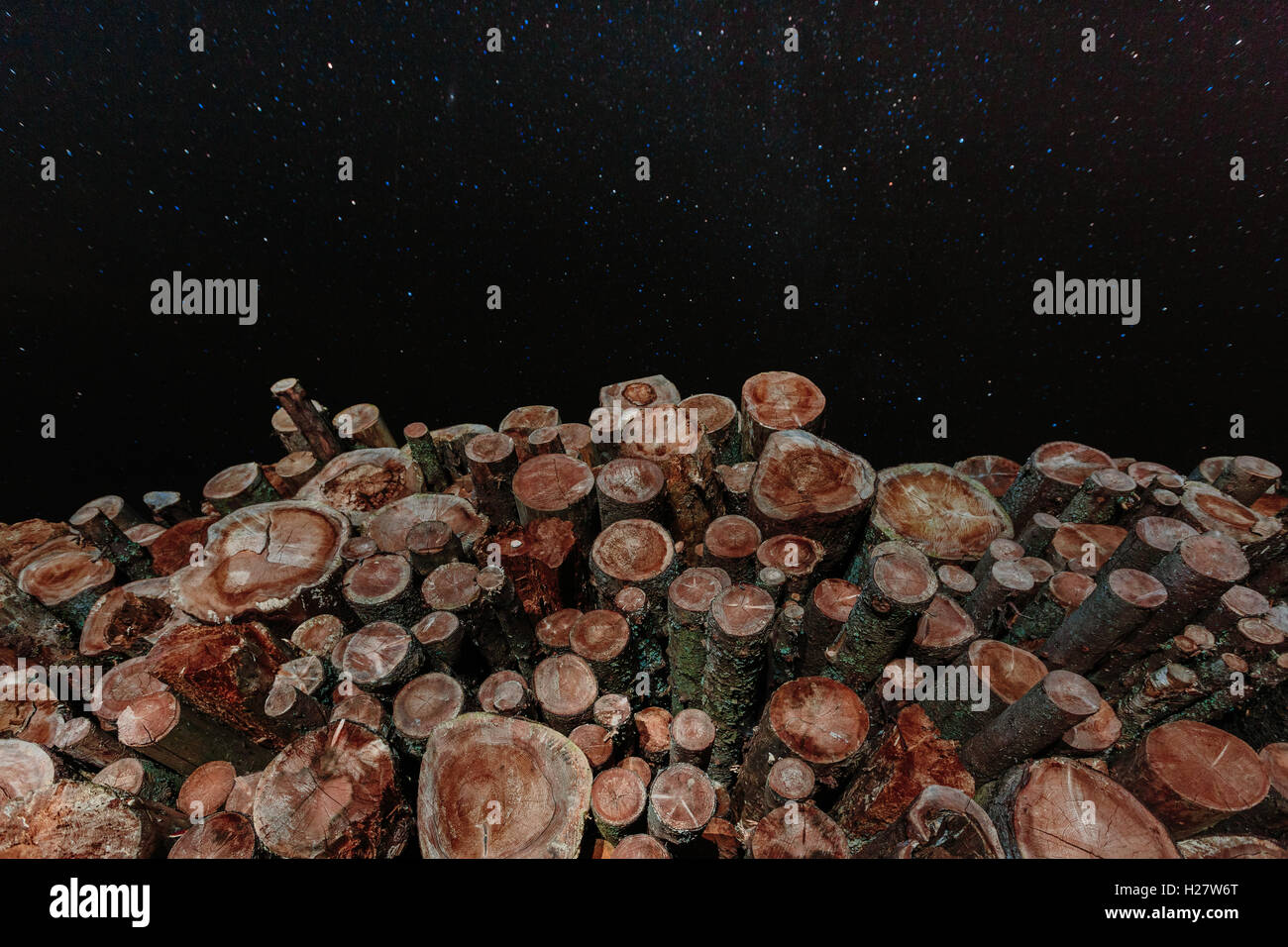 Tree trunks stacked against the night sky Stock Photo - Alamy