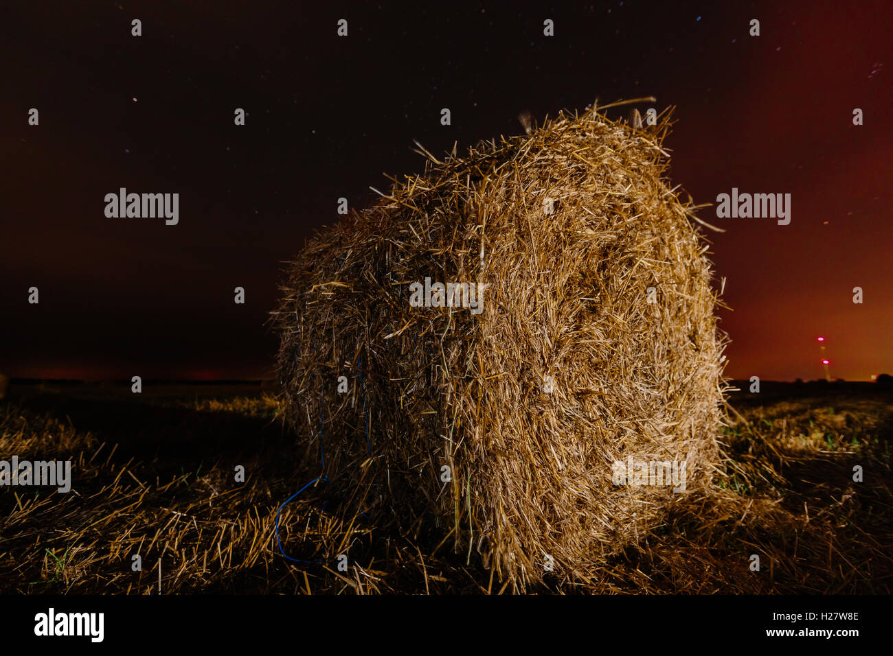 Hay close up hi-res stock photography and images - Alamy