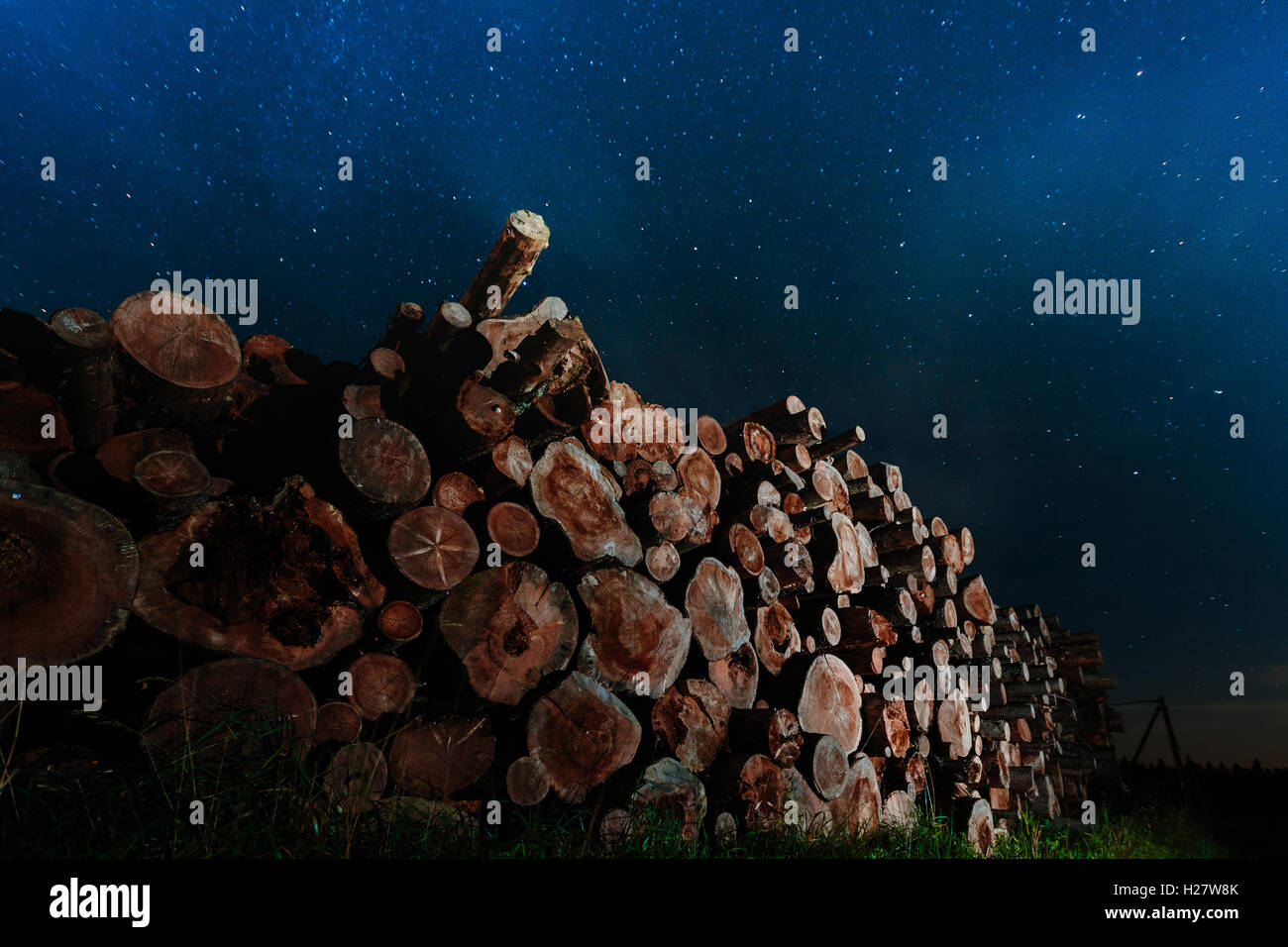 Pile of tree stumps hi-res stock photography and images - Alamy