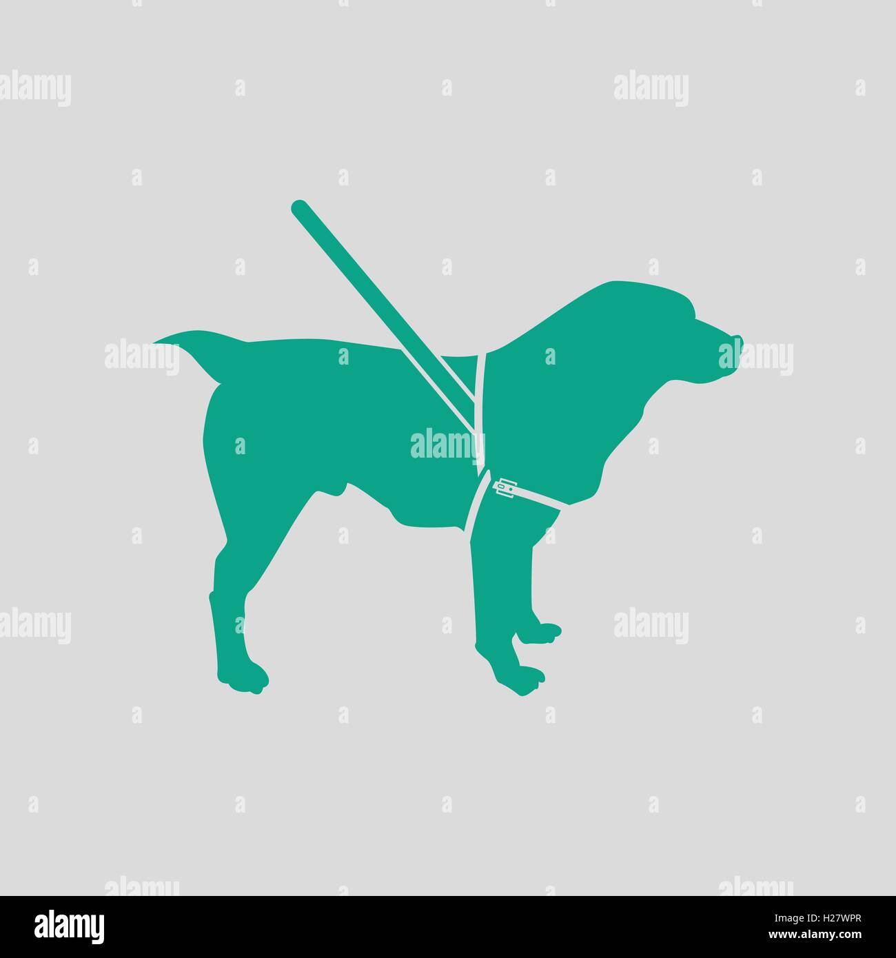 Guide dog icon. Gray background with green. Vector illustration Stock ...