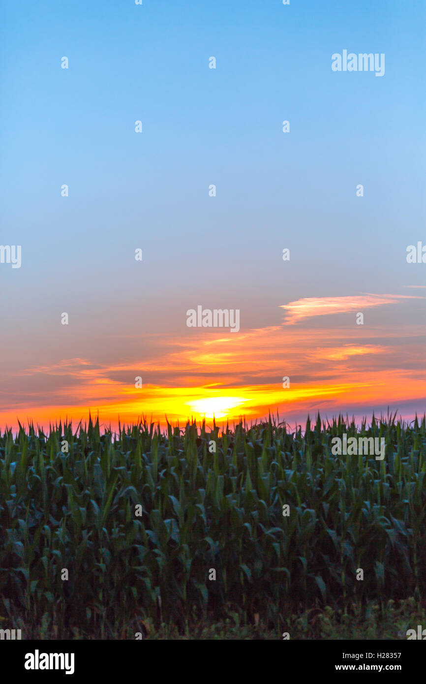 Sunrise vertical hi-res stock photography and images - Alamy