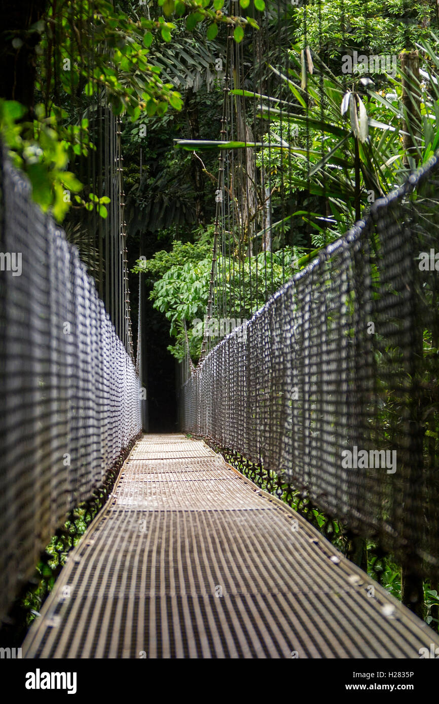 A hanging bridge in the rainforest in Costa Rica Stock Photo - Alamy