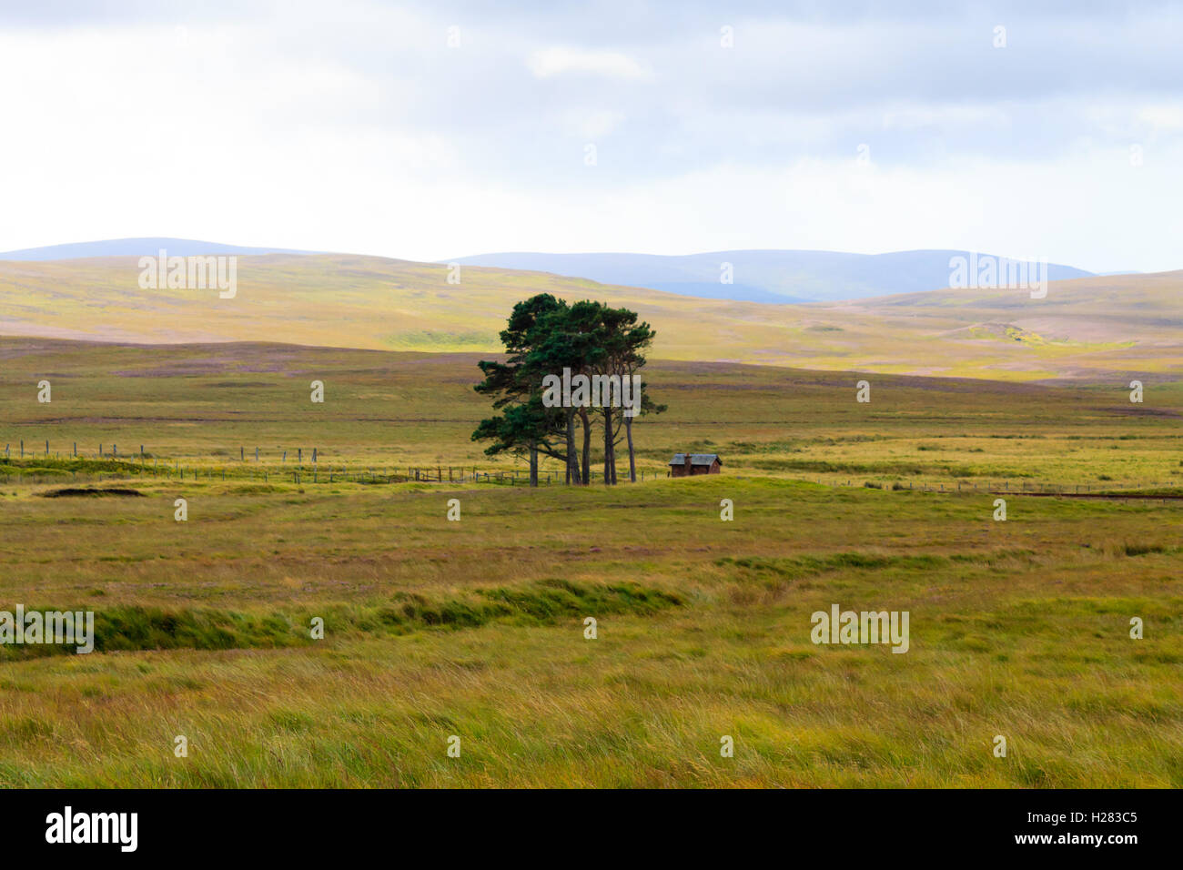 Scottish road trough countryside. Perspective road. Scotland panorama ...