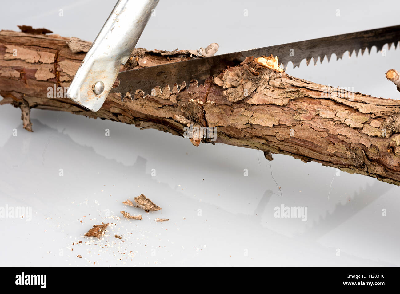 Saw through wood hi-res stock photography and images - Alamy
