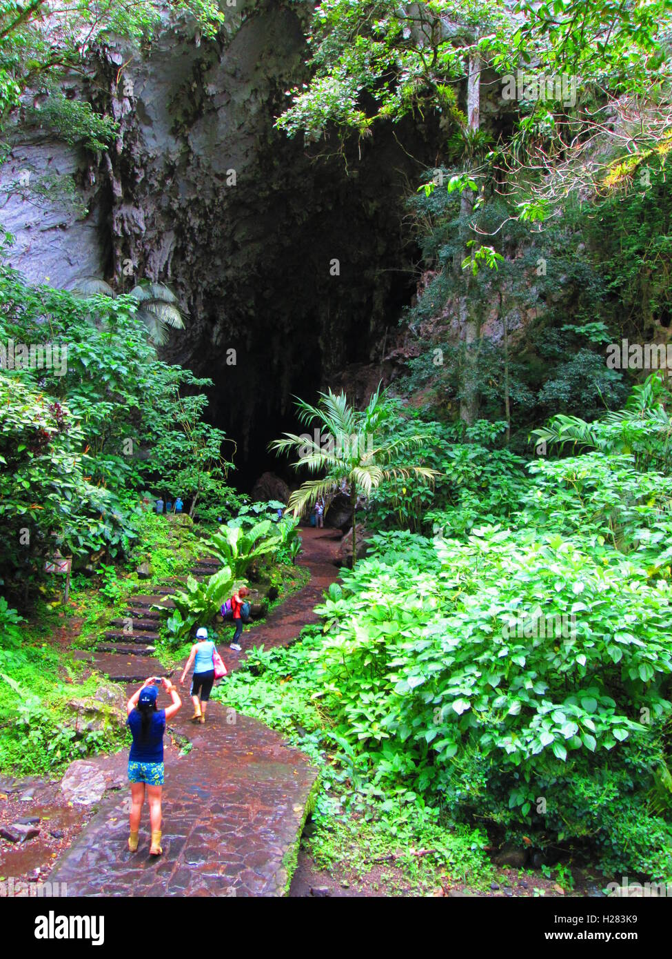 Cueva Del Guacharo National Park