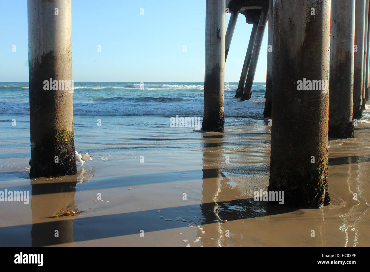 beneath Hunting Beach pier Stock Photo - Alamy