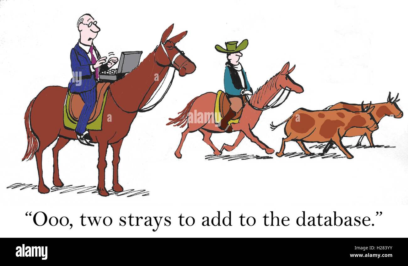 Computer cowboy hi-res stock photography and images - Alamy