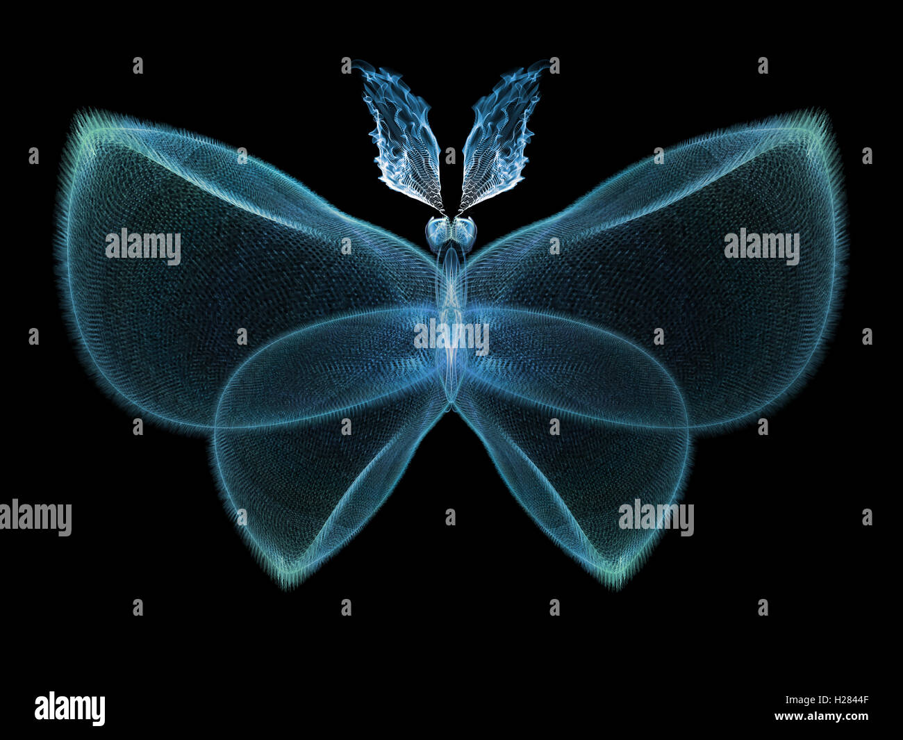 Digital butterfly hi-res stock photography and images - Alamy