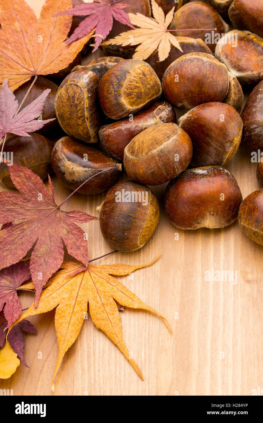 Chestnut and dry maple leave on wooden background Stock Photo - Alamy