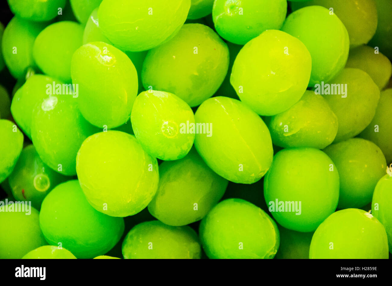 Branches of barberry hi-res stock photography and images - Alamy