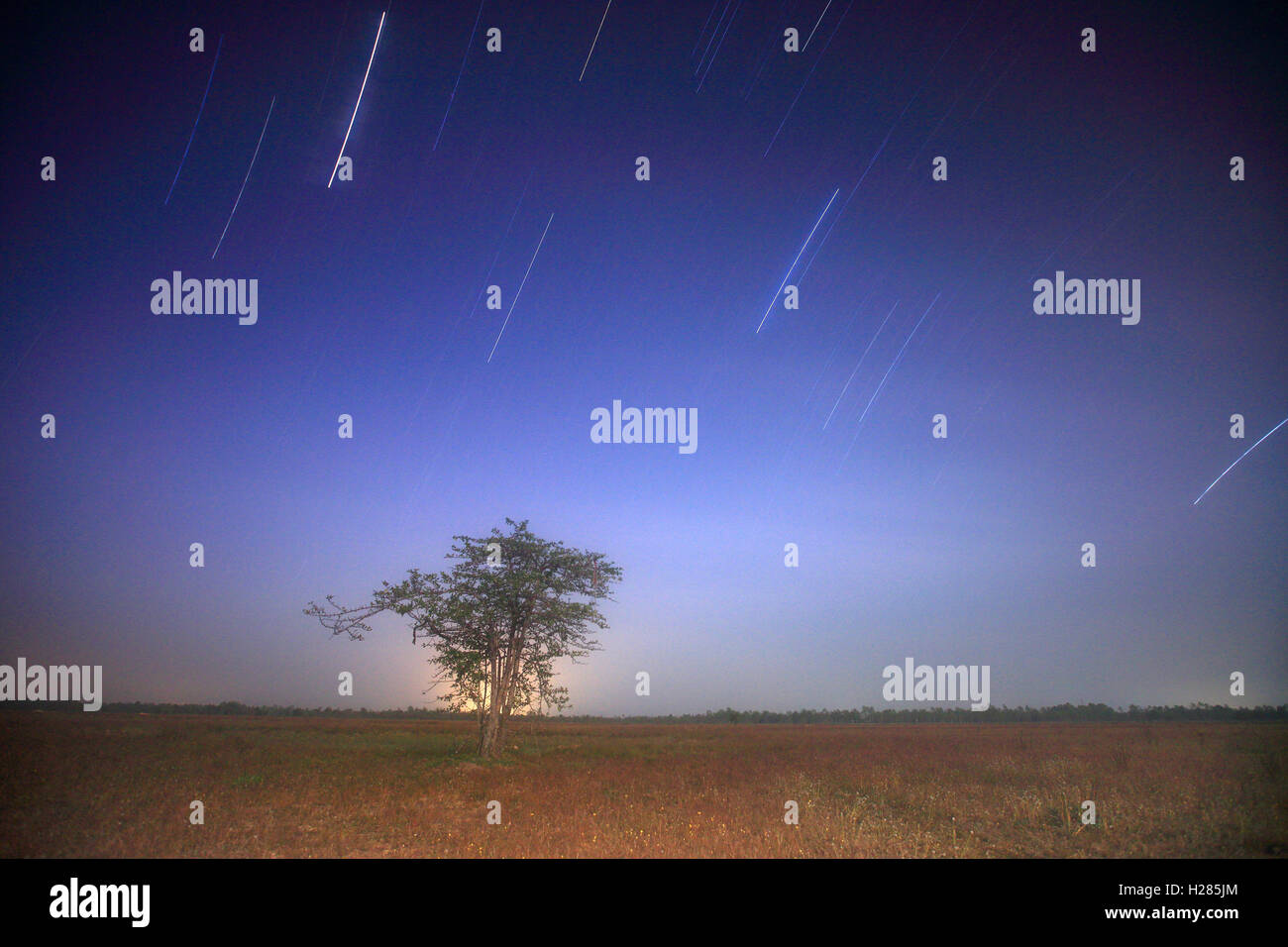 Star crack hi-res stock photography and images - Alamy