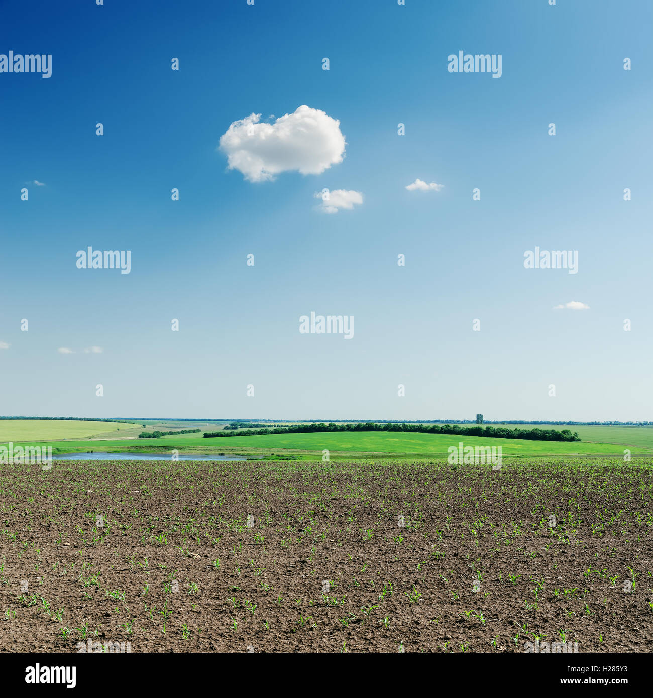 agriculture spring field and cloud in blue sky Stock Photo - Alamy