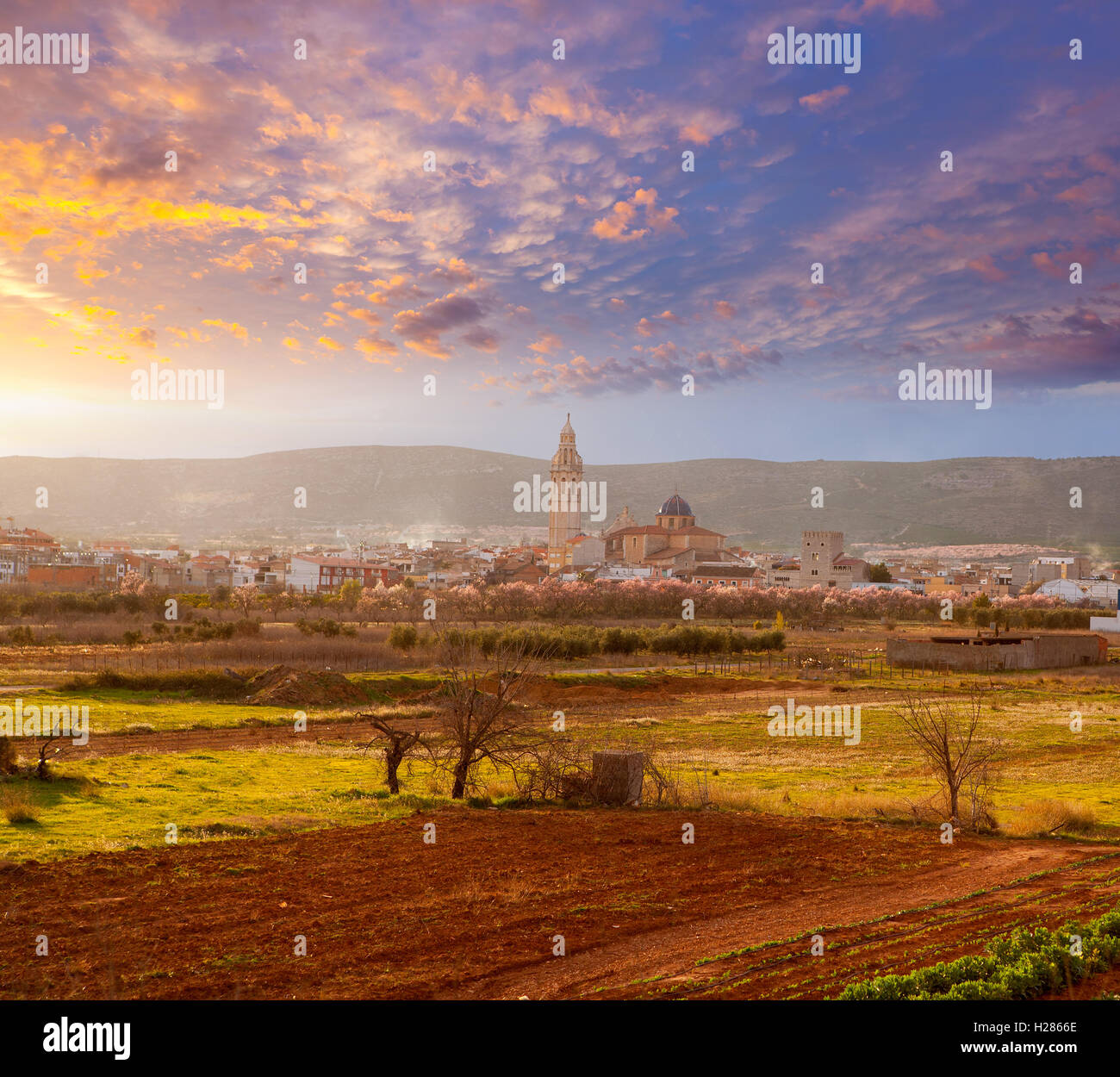 Chivert hi-res stock photography and images - Alamy