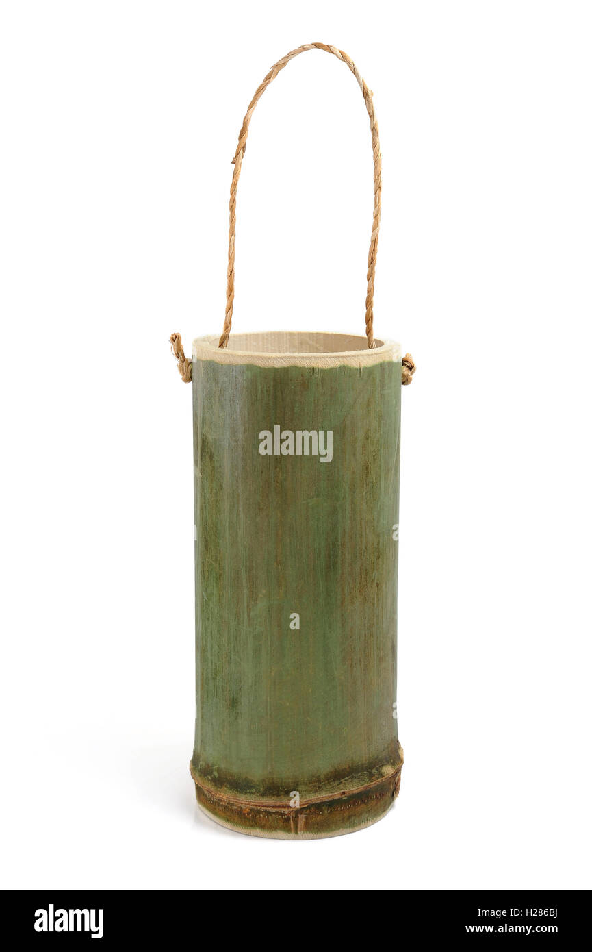 Water bamboo shoot hi-res stock photography and images - Alamy