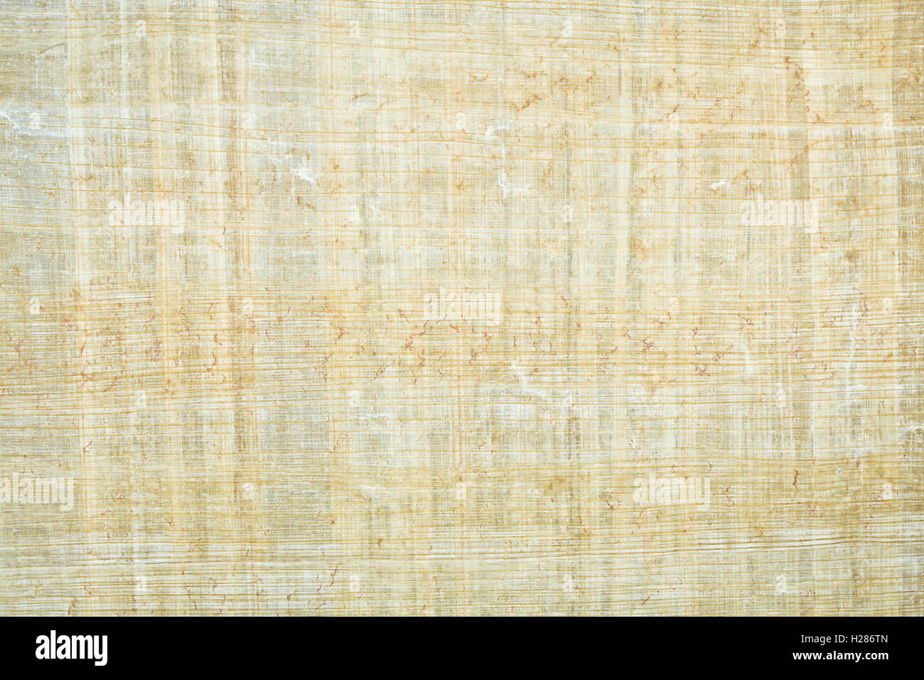 Papyrus fiber hi-res stock photography and images - Alamy