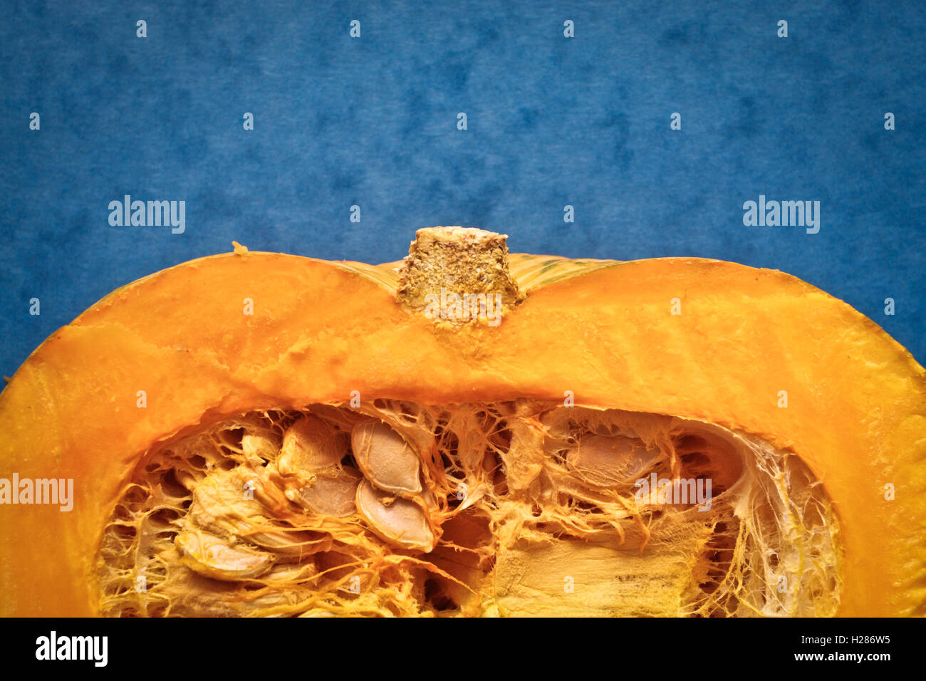 Cut section longitudinal orange fruit hi-res stock photography and ...