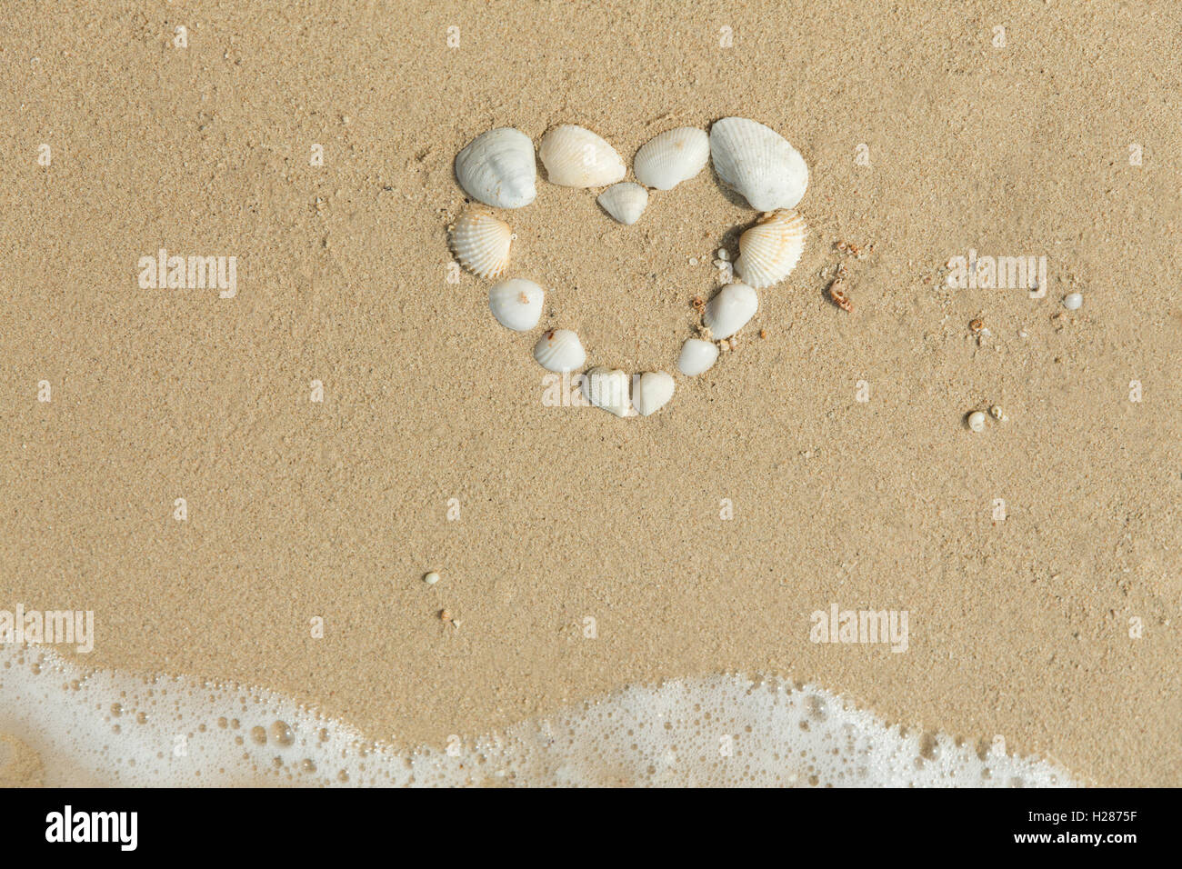 Shell heart hi-res stock photography and images - Alamy