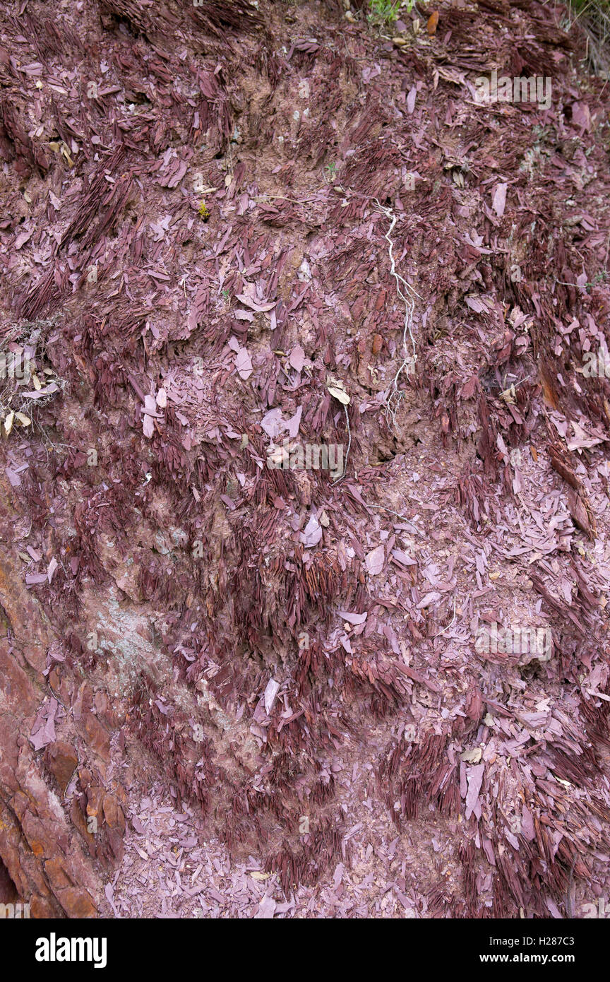 Roden red limestone powder and slabs Stock Photo - Alamy