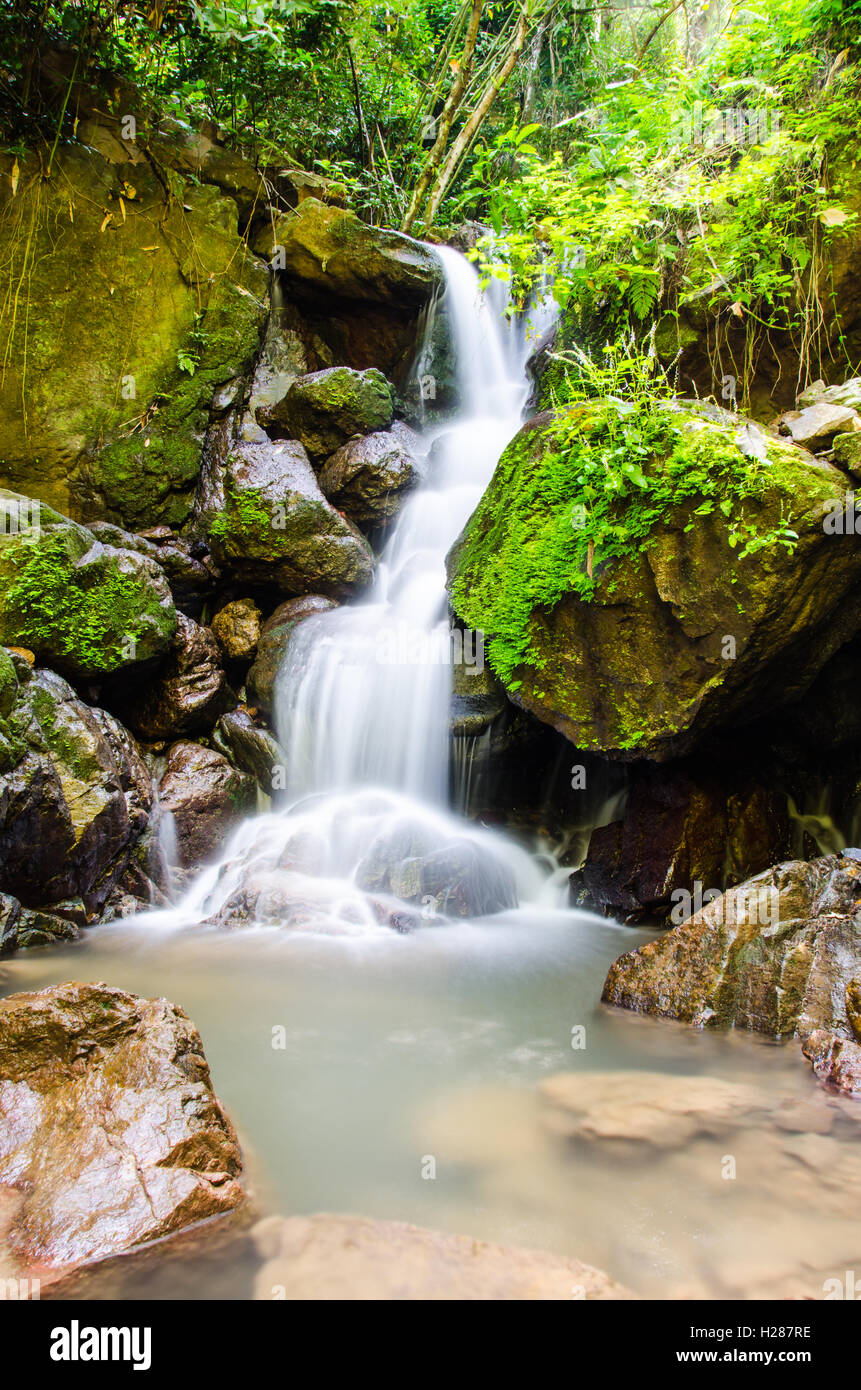 waterfall in deep forest Stock Photo - Alamy