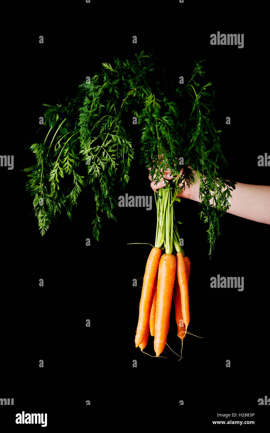 Bunch of fresh raw carrots Stock Photo - Alamy
