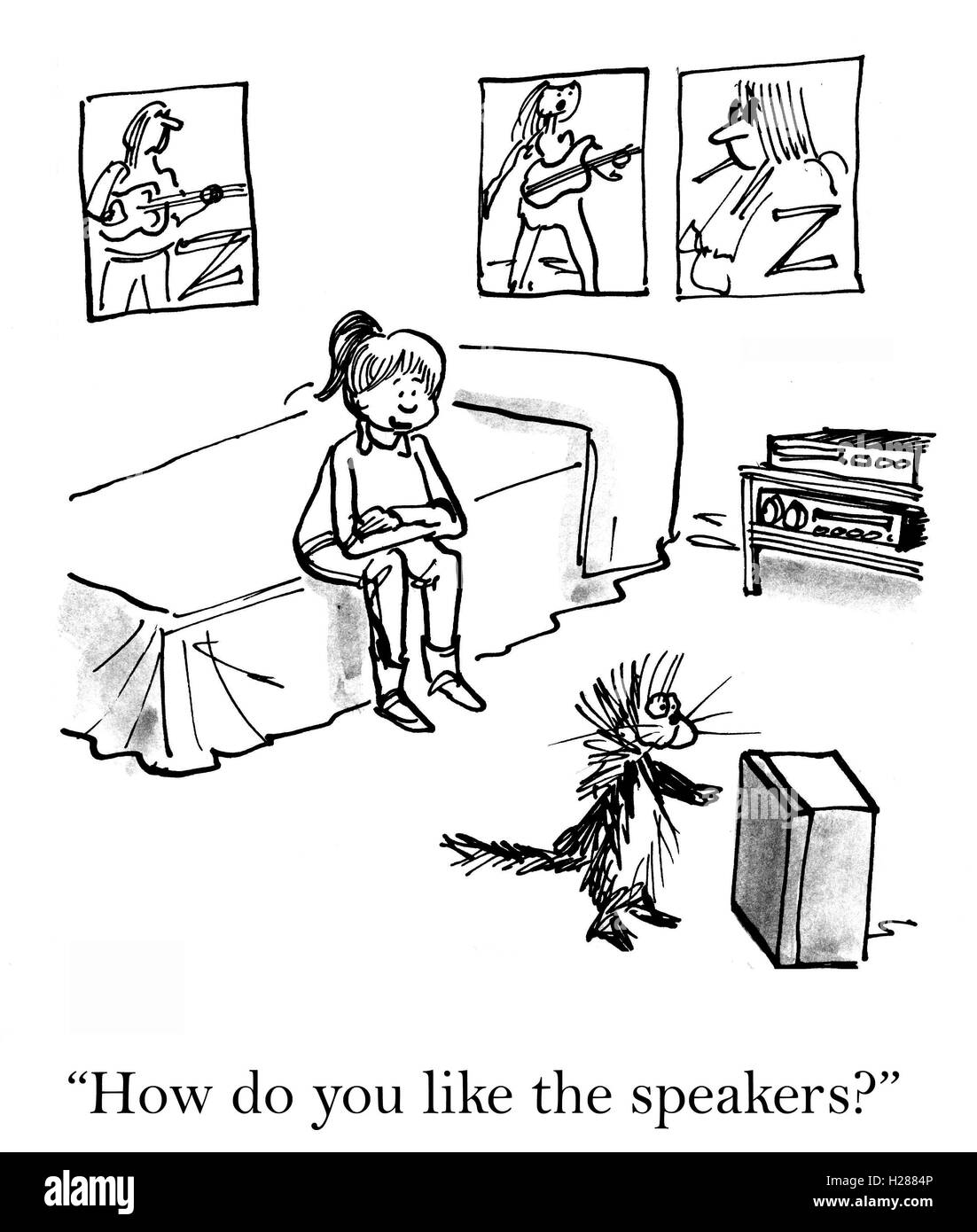 Loud Cat High Resolution Stock Photography and Images - Alamy