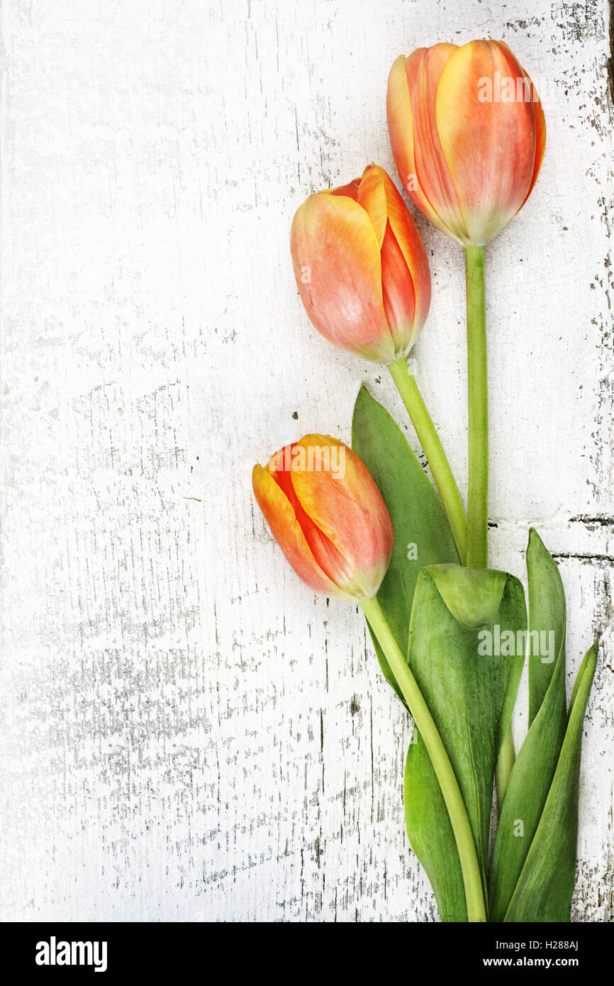 Bouquet long stem orange hi-res stock photography and images - Alamy