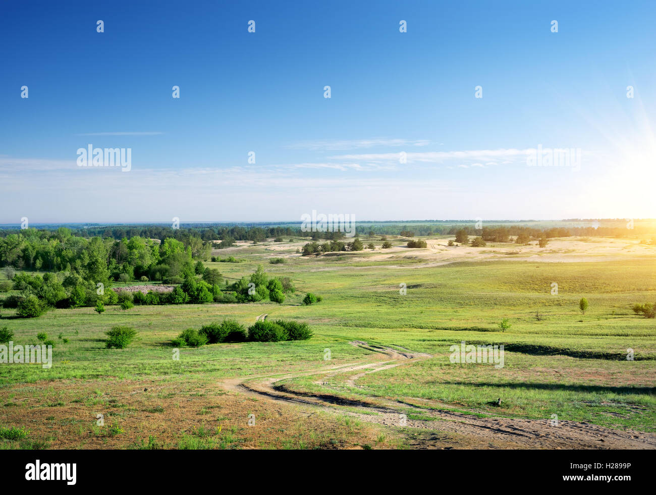 Country road through the plain Stock Photo - Alamy