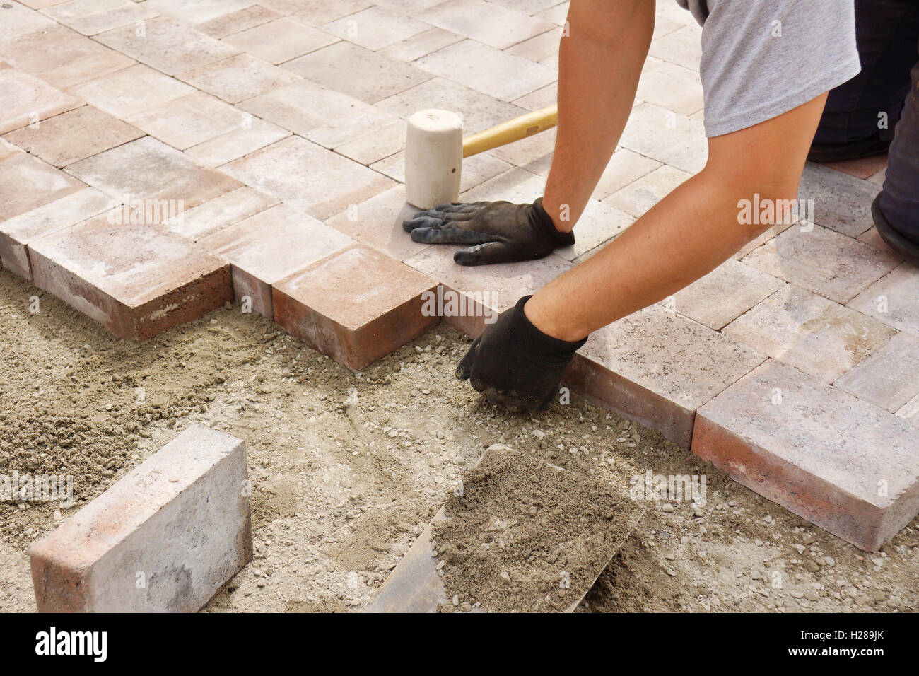 Worker installing paver Stock Photo - Alamy
