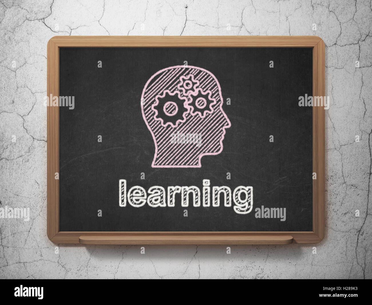 Education concept: Head With Gears and Learning on chalkboard ...
