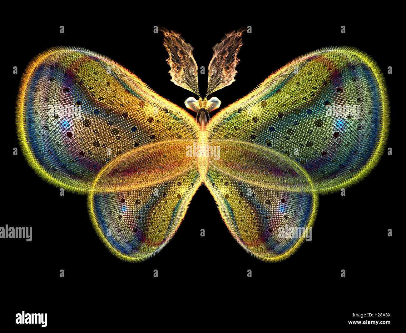 Glow of Butterfly Stock Photo - Alamy