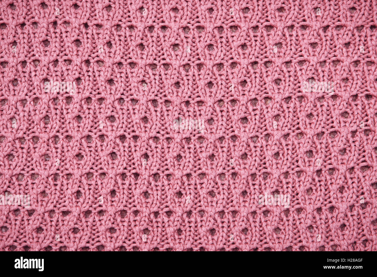 Jersey wooly hi-res stock photography and images - Alamy