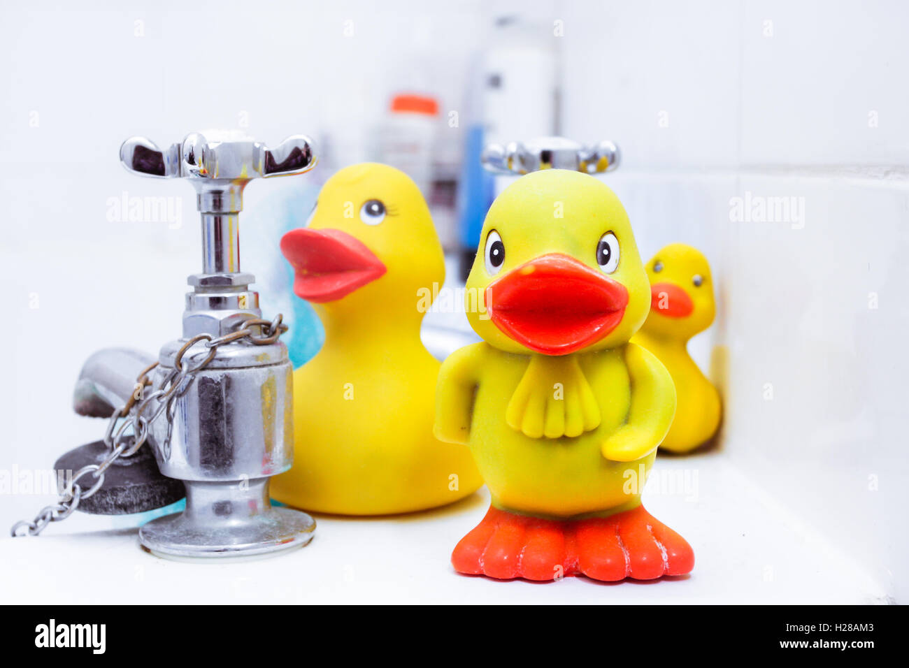 Yellow plastic ducks Stock Photo - Alamy