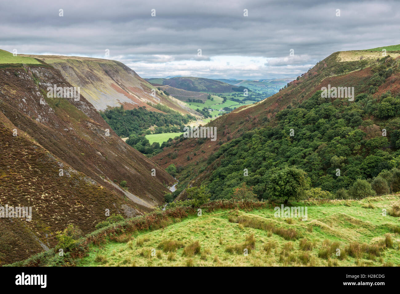 Dylife gorge hi-res stock photography and images - Alamy