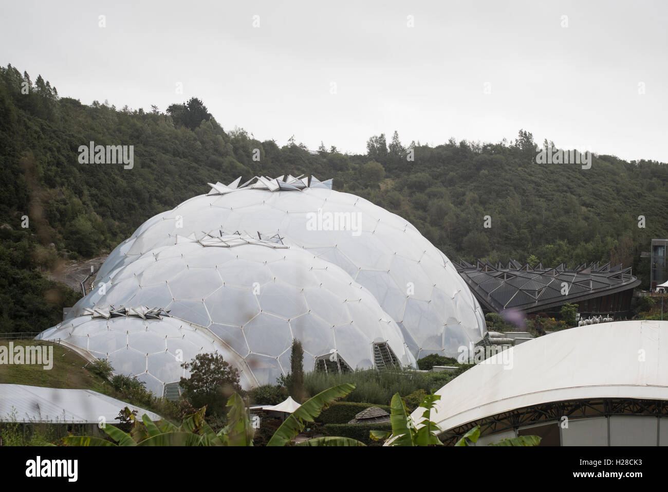 A view of one biome, Eden Project Stock Photo - Alamy