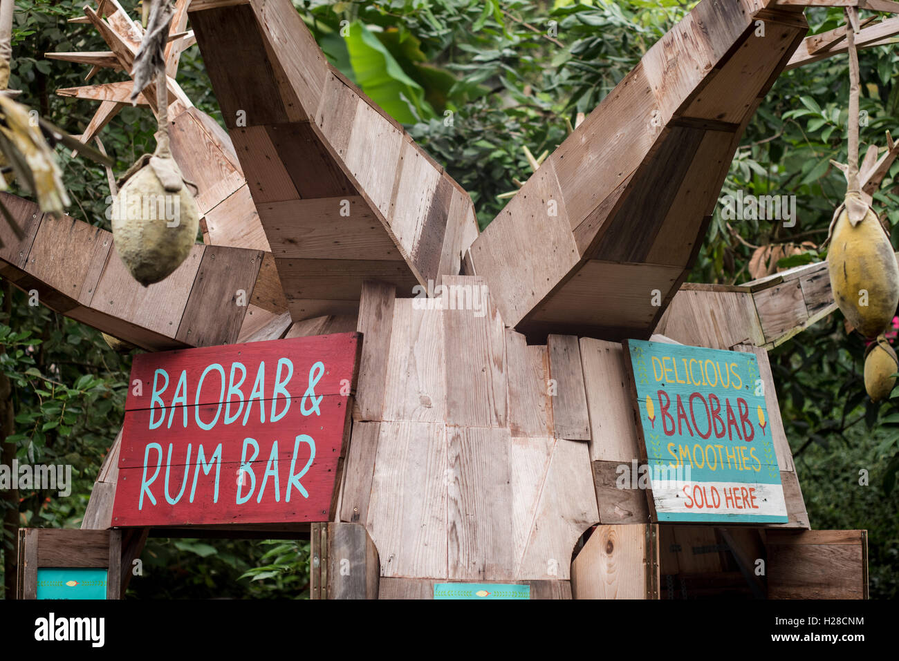 The Baobab & Run Bar, Rainforest, Eden Project Stock Photo - Alamy