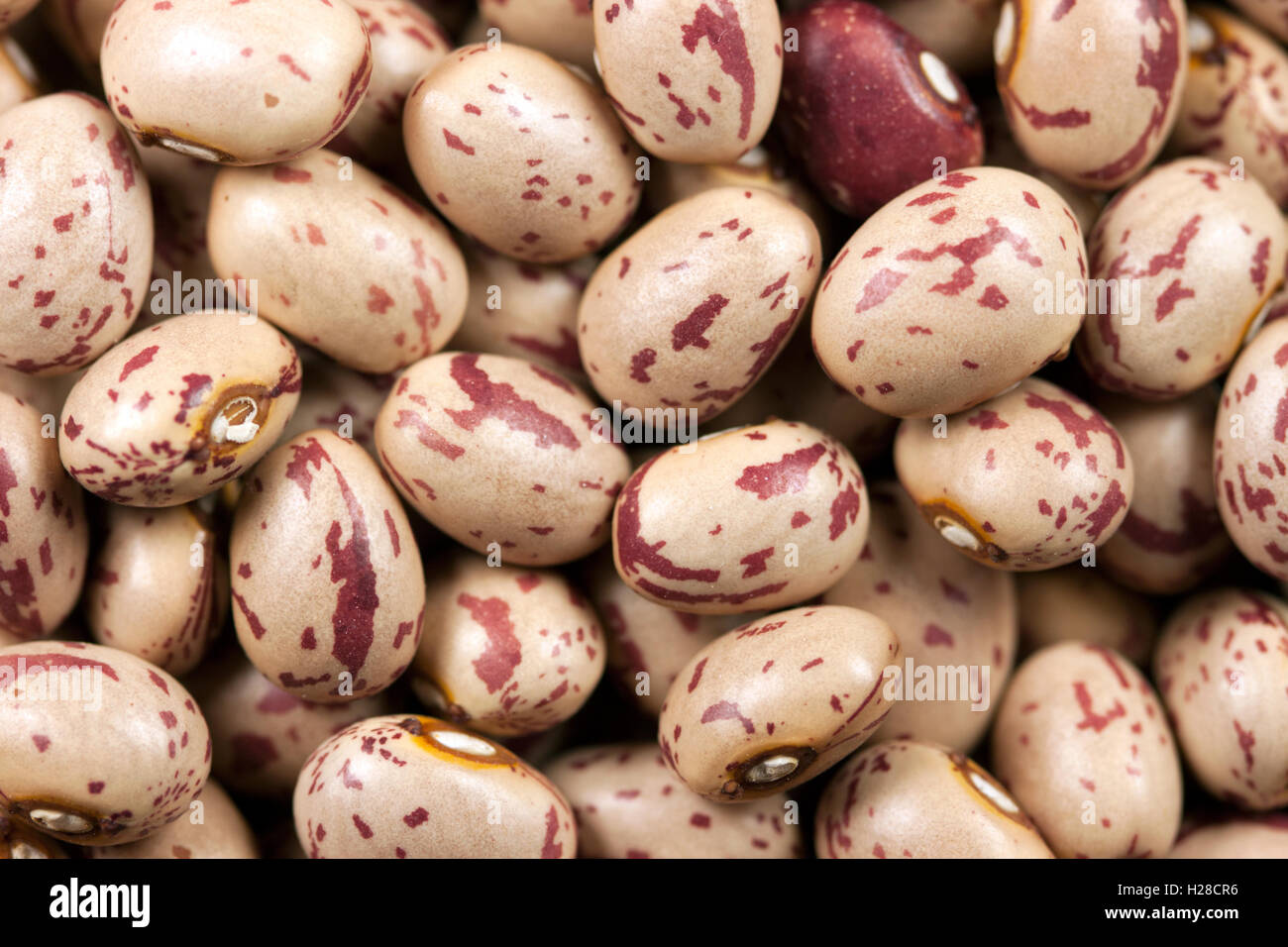 Beans are for sale in a local India market Stock Photo - Alamy