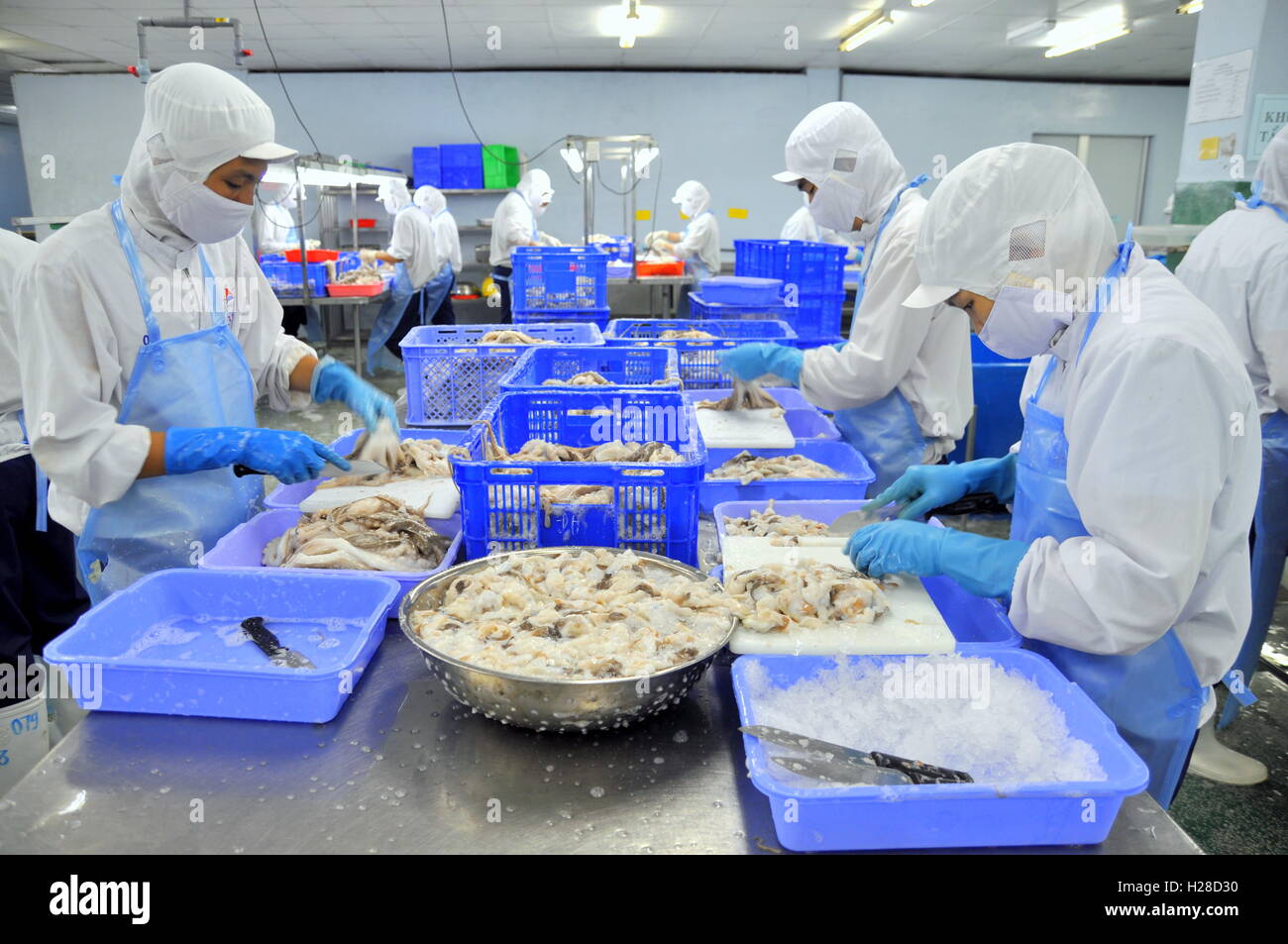 Octopus farming hi-res stock photography and images - Alamy