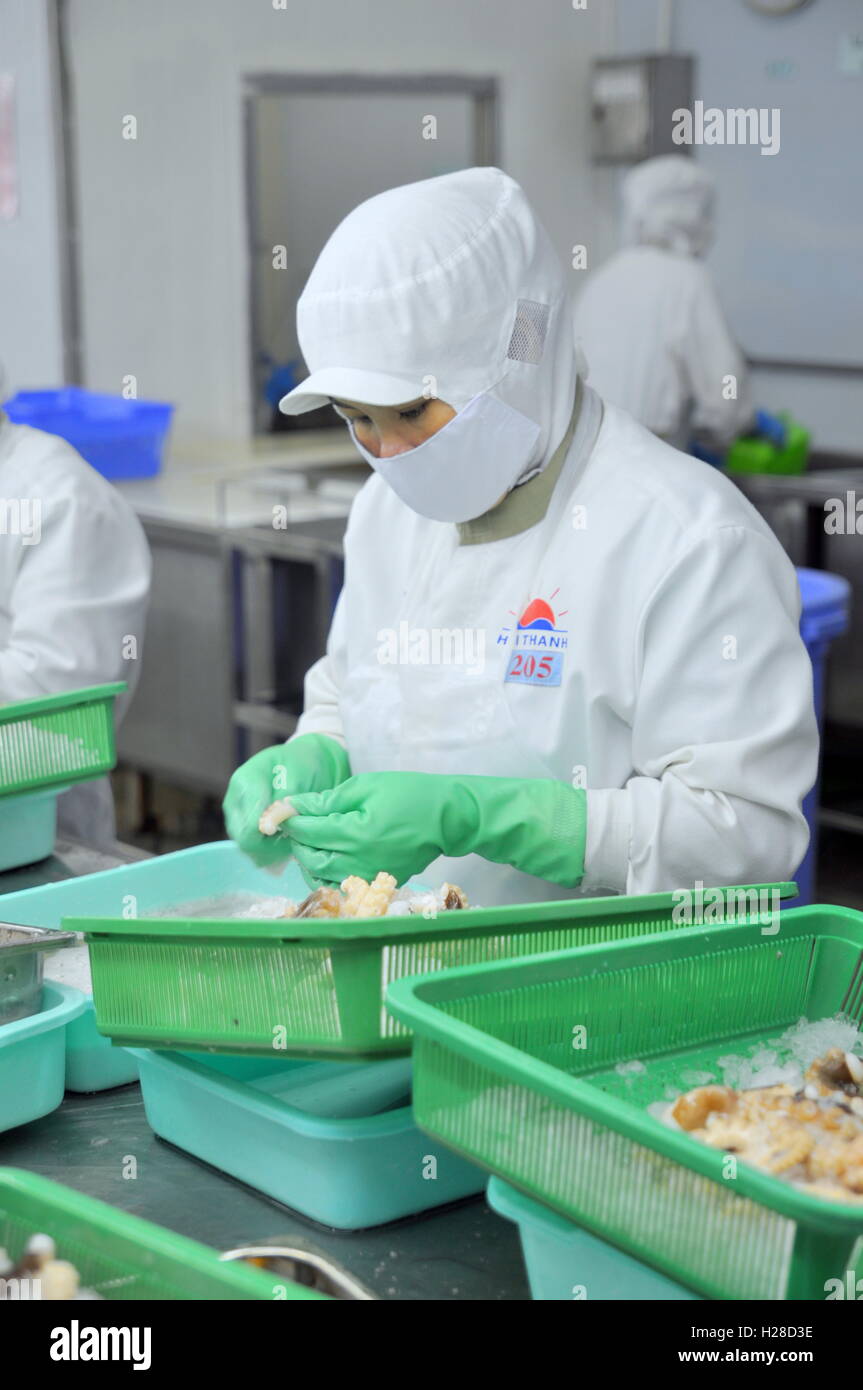 Octopus farming hi-res stock photography and images - Alamy