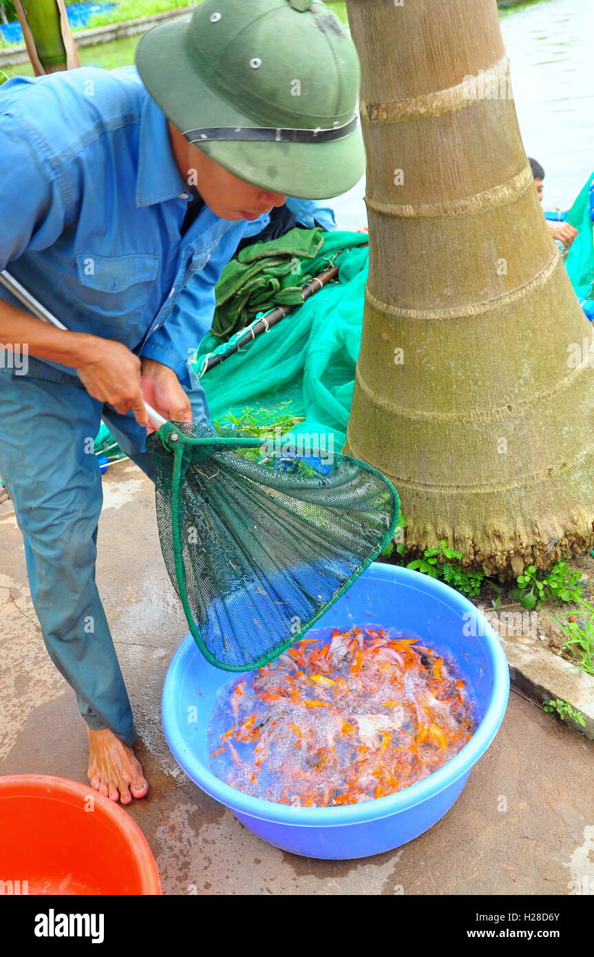 Vietnamese seafood tanks hi-res stock photography and images - Alamy