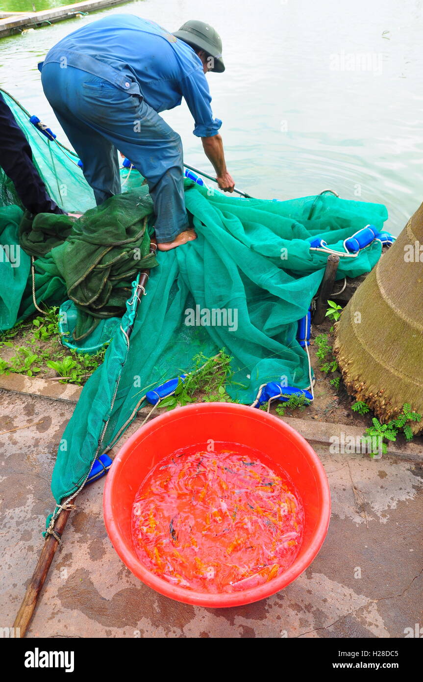 Vietnamese seafood tanks hi-res stock photography and images - Alamy