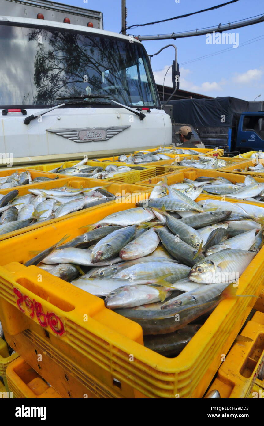 Tray loading truck hi-res stock photography and images - Alamy