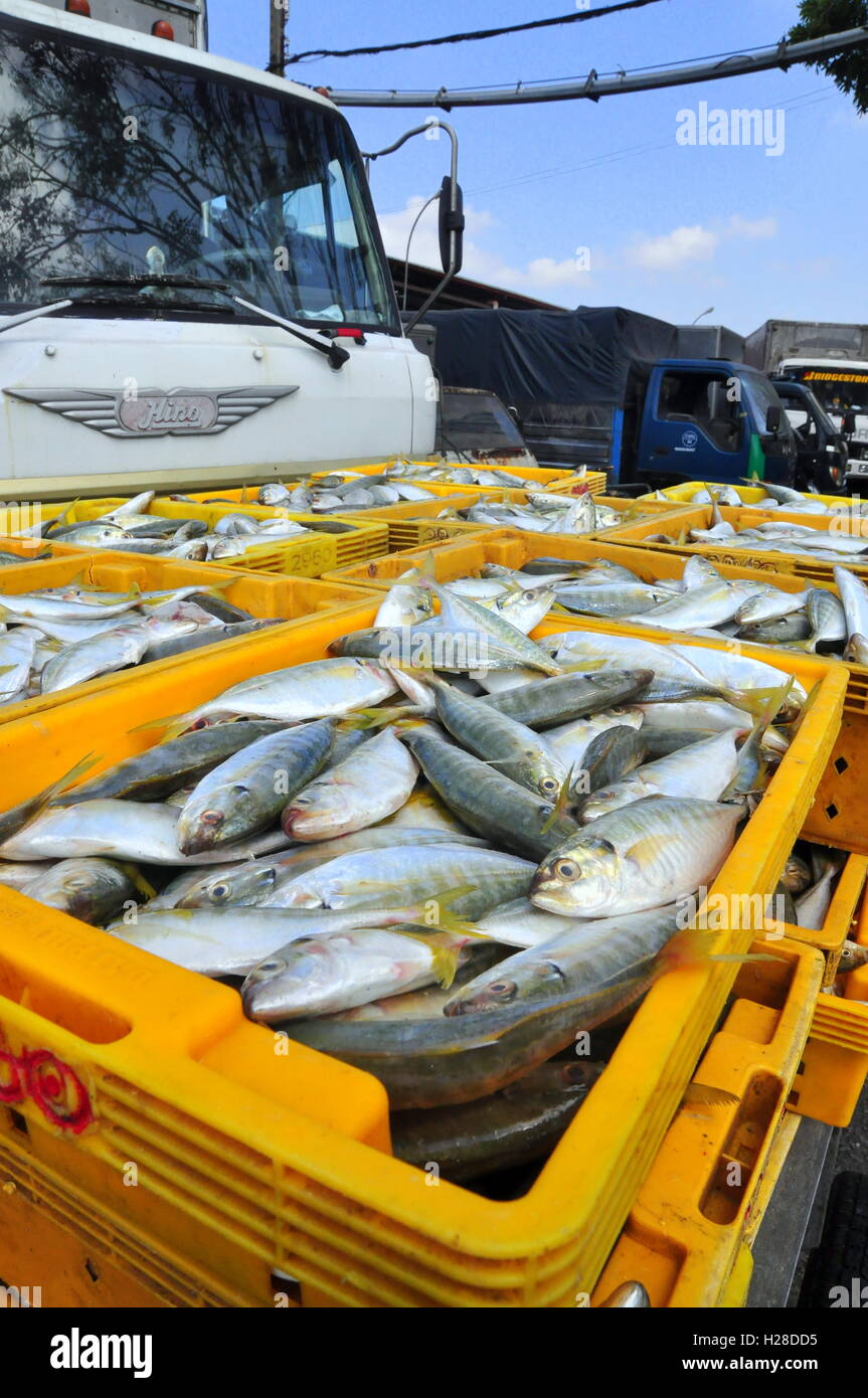 Tray loading truck hi-res stock photography and images - Alamy