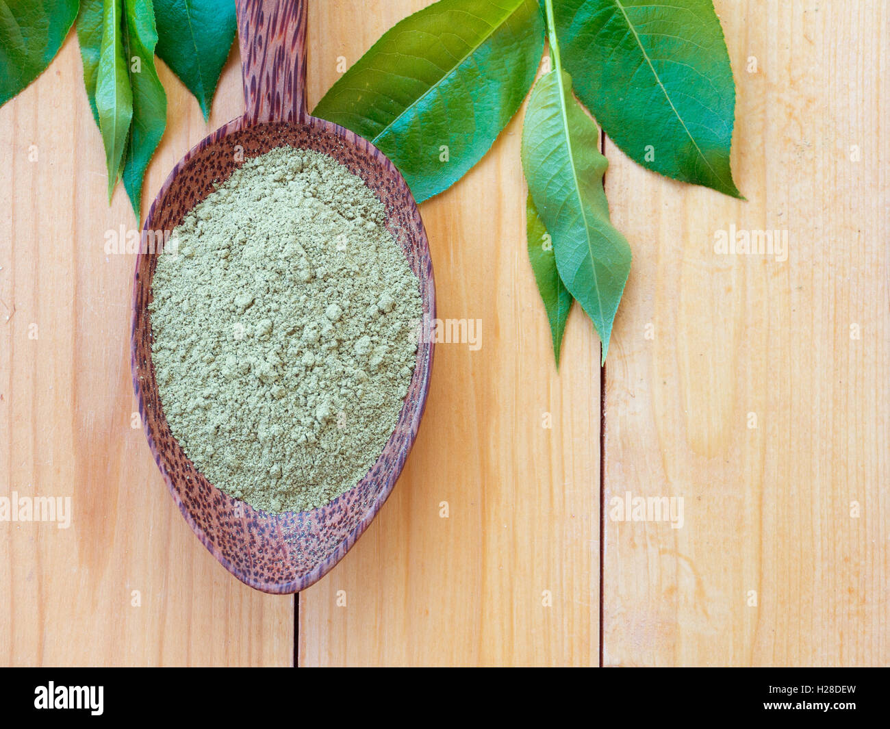 Henna lawsonia inermis plant hi-res stock photography and images - Alamy